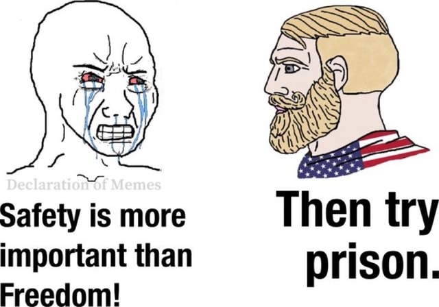 Declaration Memes Safety is more important than Freedom! Then try ...