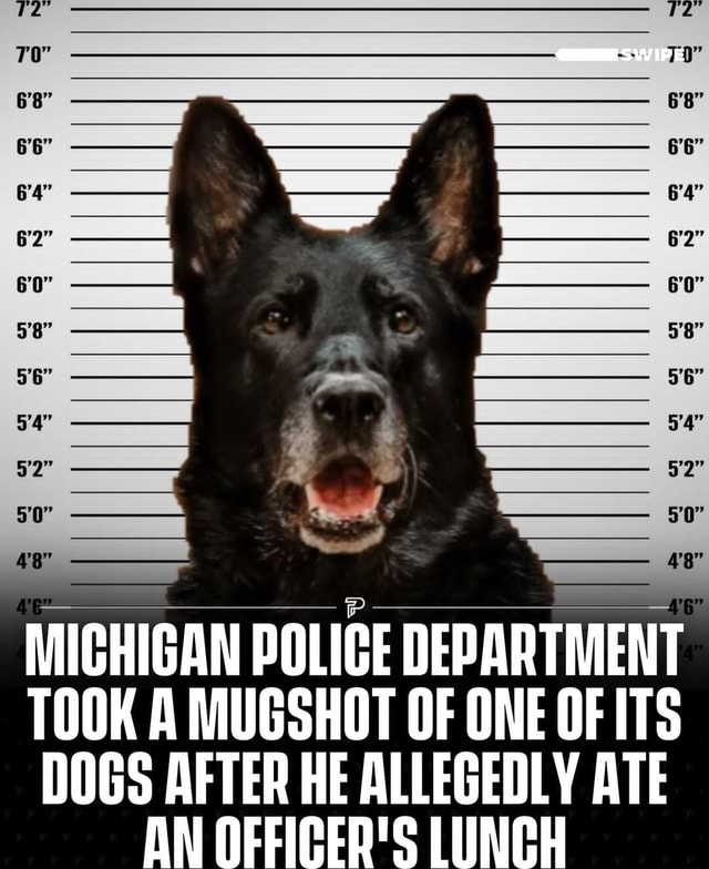 MICHIGAN POLICE DEPARTMENT TOOK A MUGSHOT OF ONE OF ITS DOGS AFTER HE ...