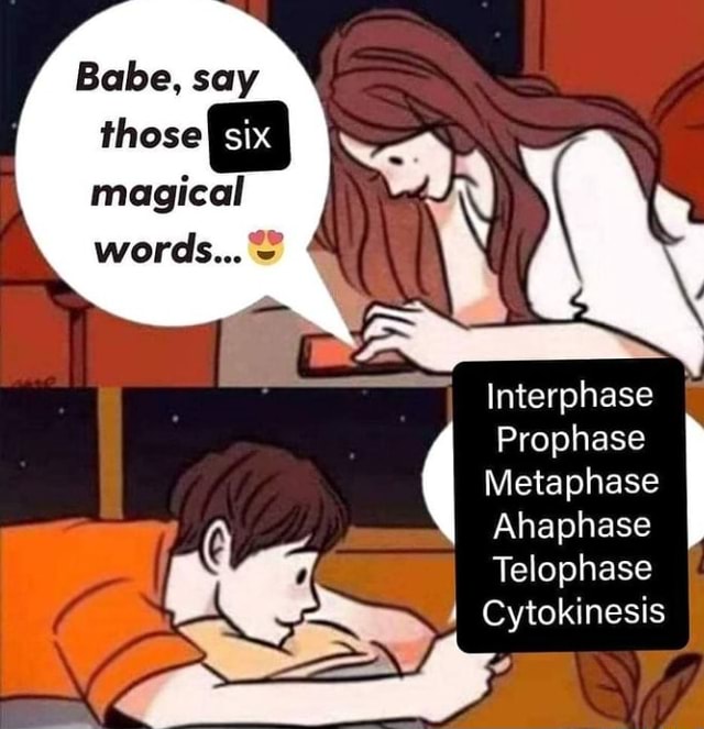 Babe, say those magical word.... Interphase Prophase Metaphase Ahaphase ...