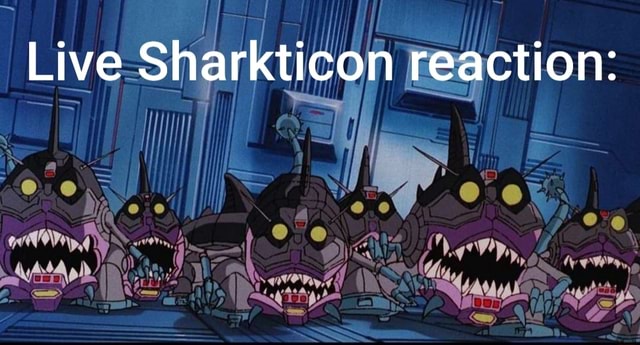 Live Sharkticon reaction: on SS - iFunny
