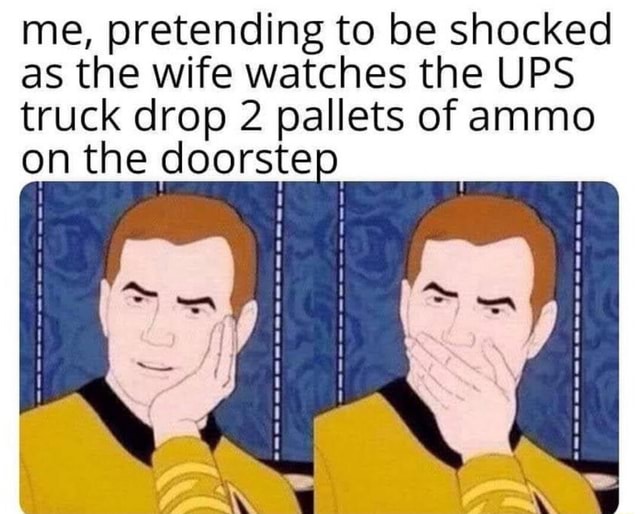 Me, pretending to be shocked as the wife watches the UPS truck drop 2 ...