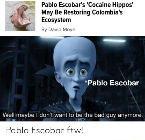 Pablo Escobar ftw! - Pablo Escobar's 'Cocaine Hippos' May Be Restoring ...