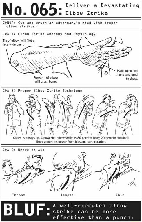 N 065: Deliver Elbow a Devastating Strike O. m Elbow Strike CONOP: Cut ...