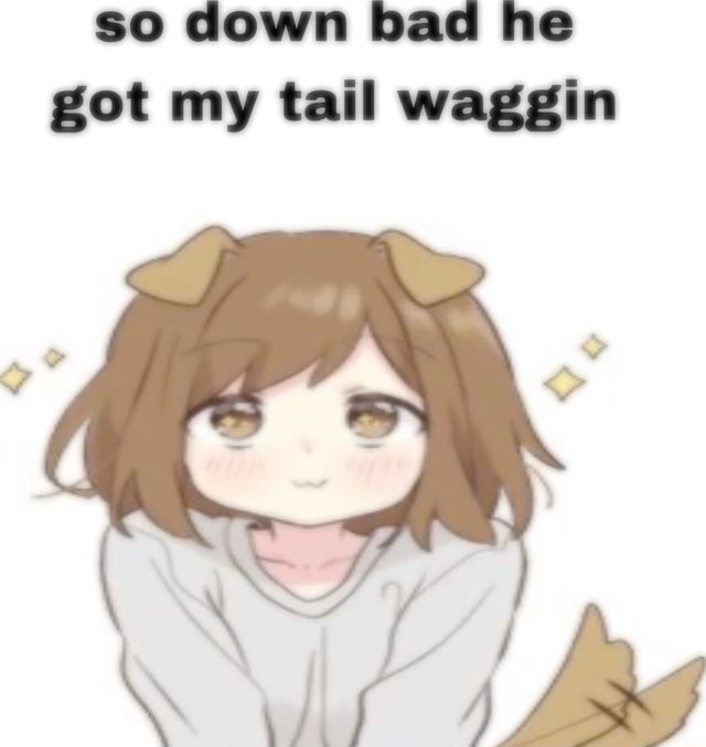 So down bad he got my tail waggin - iFunny