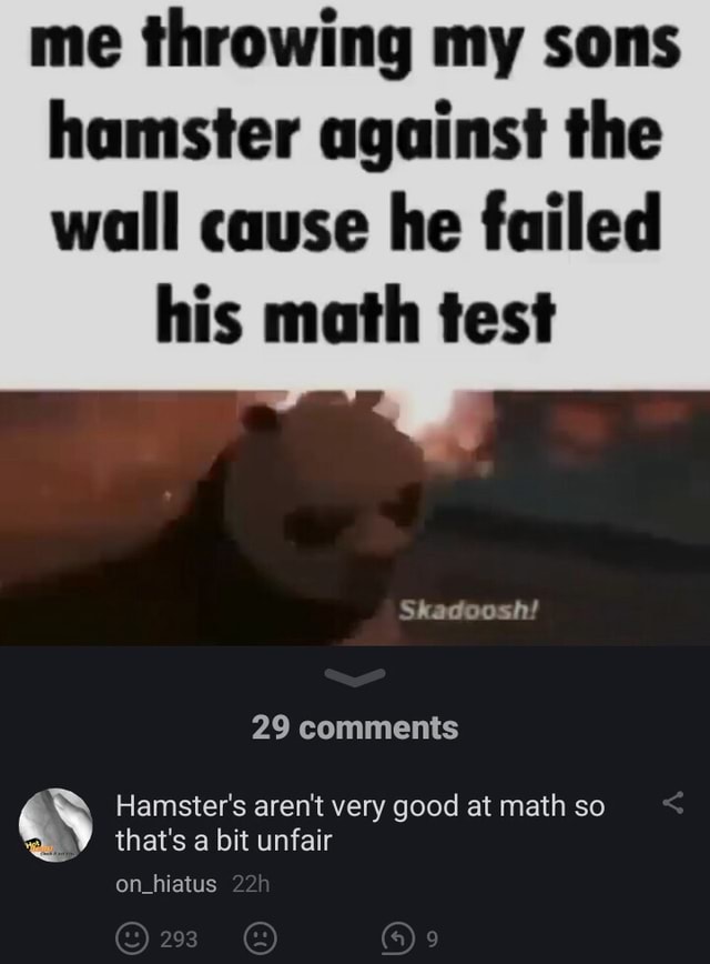 Me throwing my sons hamster against the wall cause he failed his math ...