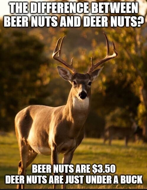 SaTHE DIFFERENCE BETWEEN BEER NUTS AND DEER NUTS? BEER NUTS ARE $3.50 DEER RUTS ARE JUST UNDER ...