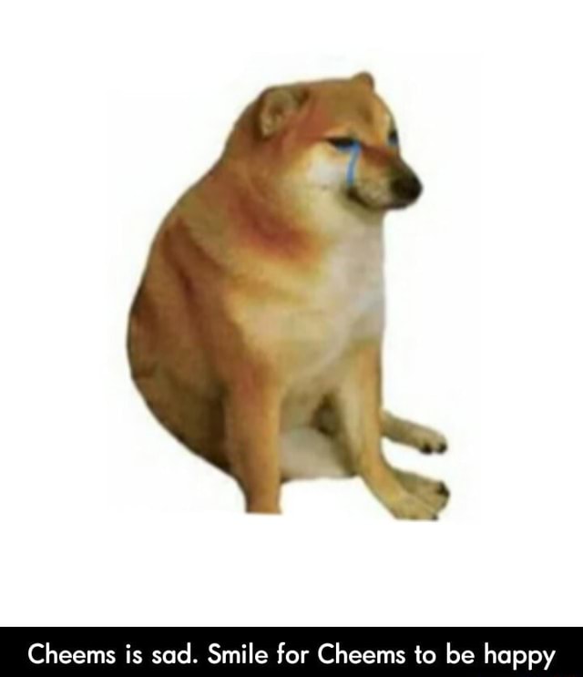 Cheems is sad. Smile for Cheems to be happy - iFunny