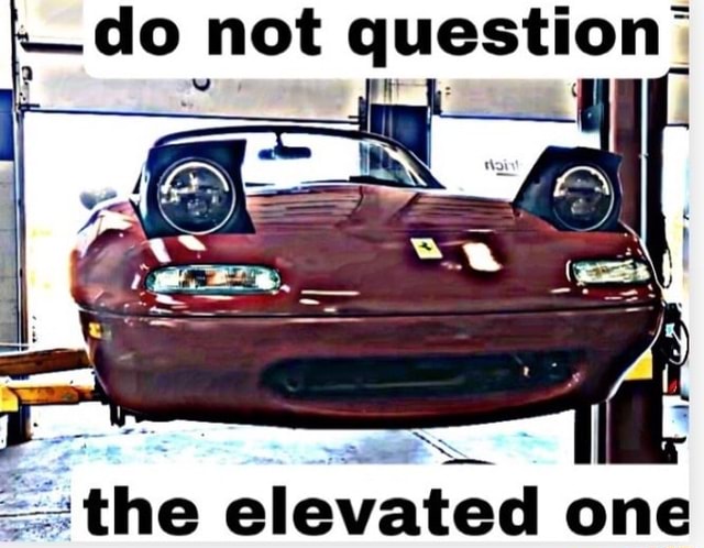 Do not question the elevated one - iFunny