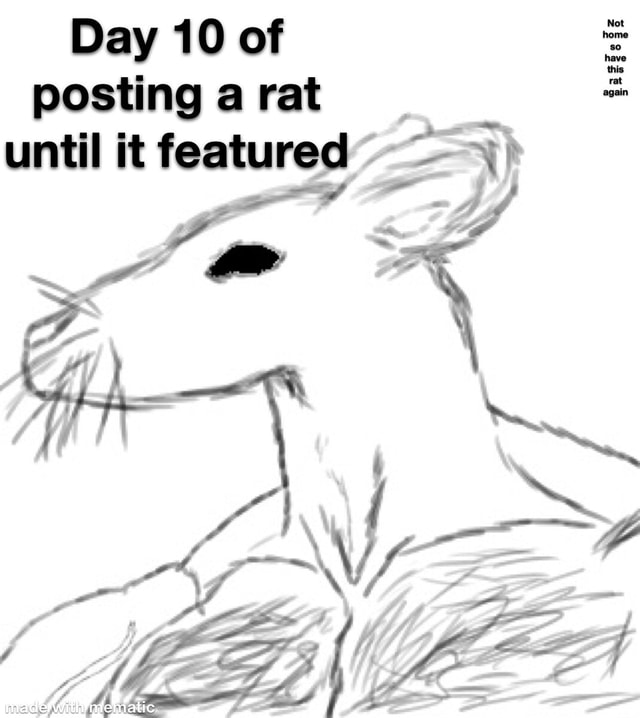 Day 10 of DOSING rat until it featured LA - iFunny