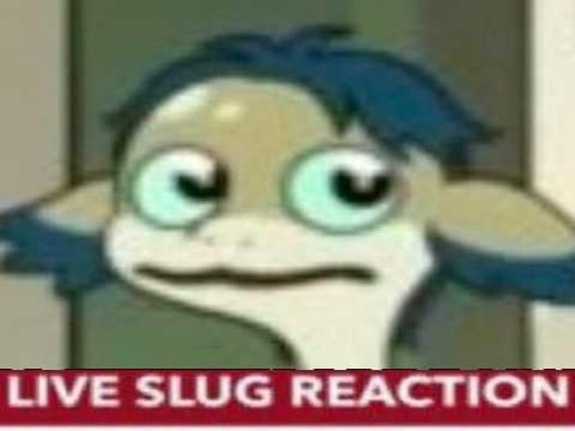 LIVE SLUG REACTION - iFunny