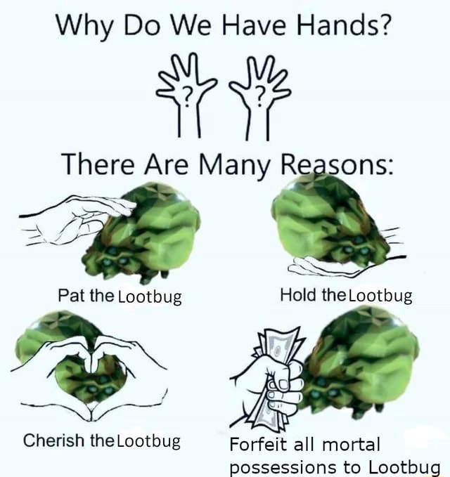 Why Do We Have Hands? There Are Many R Hold the Lootbug Pat the Lootbug ...
