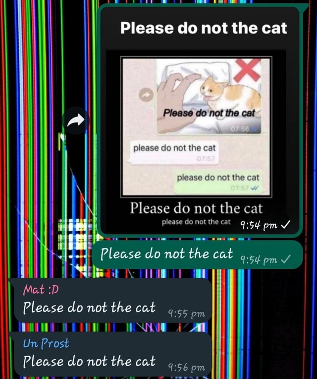 Please do not the cat Please do not the cat please do not the cat ...