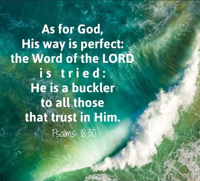As for God, His way is perfect: the Word of the LORD is tried: He is a ...