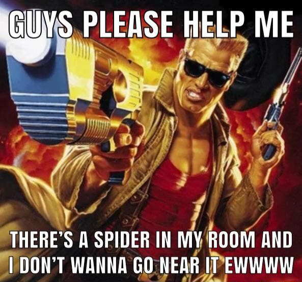 PLEASE HELP ME THERE'S A SPIDER IN MY ROOM AND DON'T WONND GO NEAR IT ...