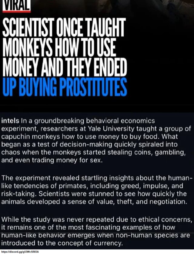 If! SCIENTIST ONCE TAUGHT MONKEYS HOW TO USE MONEY AND THEY ENDED UP ...