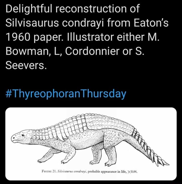 Delightful reconstruction of Silvisaurus condrayi from Eaton's 1960 ...