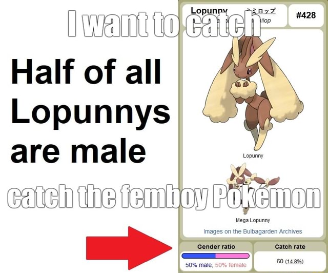 Half Of All Lopunnys Are Male Eate The Tamy Mega Lopunny Images On The