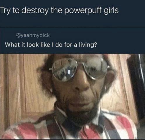 Try to destroy the powerpuff girls What it look like I do for a living ...