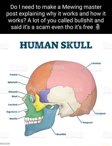 Do I need to make a Mewing master post explaining why it works and how ...