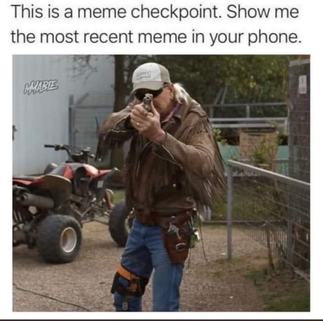 This is meme checkpoint. Show me the most recent meme in your phone ...