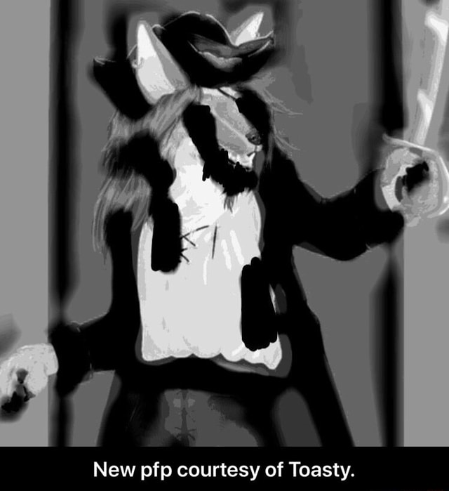 New pfp courtesy of Toasty. - New pfp courtesy of Toasty. - iFunny