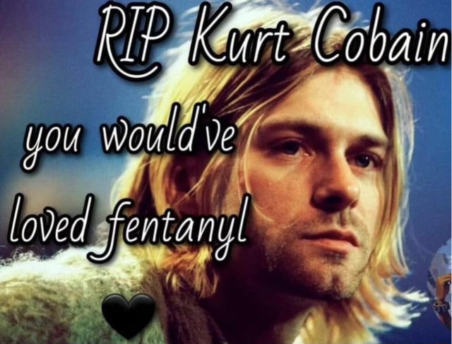 RIP Citrt Cobain Wotld ve loved - iFunny