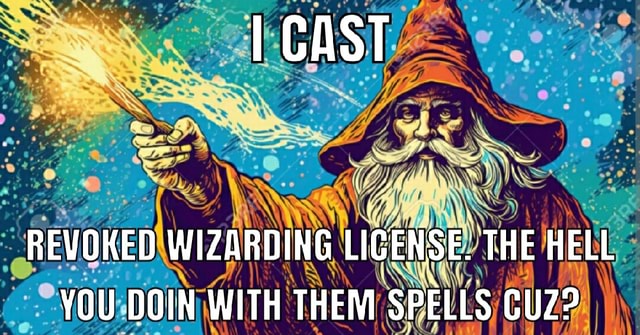 REVOKED WIZARDING LIGENSE. THE HELL YOU DOIN WITH THEM SPELLS GUZ? - iFunny