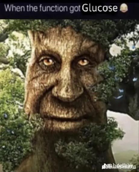 When the function got GLucose @ - iFunny When the function got GLucose @ - iFunny