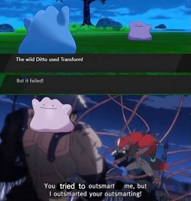The wild Ditto used Transform! But it failed! You tried to outsmart me ...