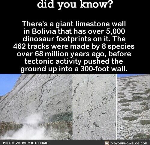 Did you know? There's a giant limestone wall in Bolivia that has over ...