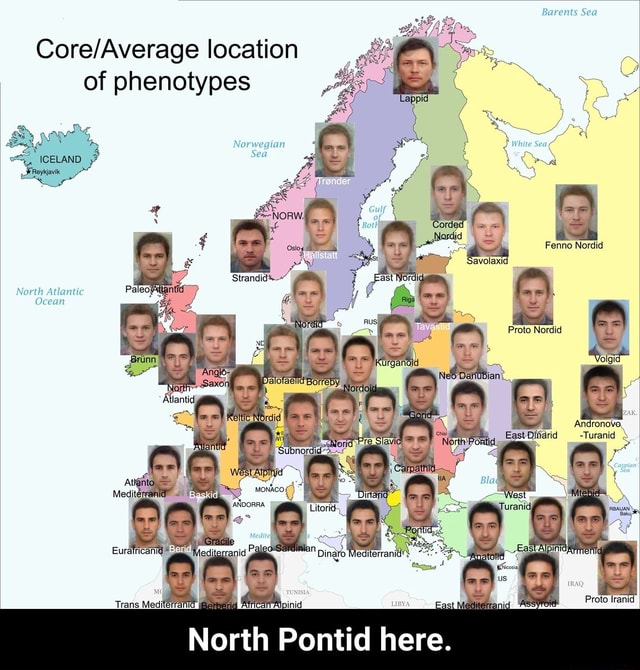 Core/Average location of phenotypes - North Pontid here. - iFunny