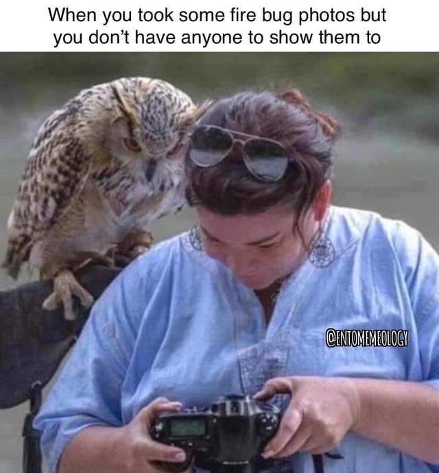 #entomemeology #entomology #entomologymemes# #insecthumor #insectmemes ...