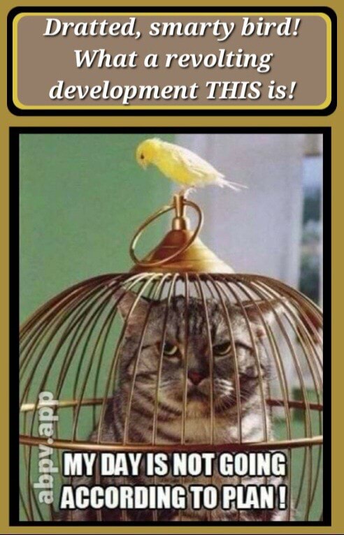 Dratted, smarty bird! What revolting development THIS is! MY DAY NOT ...