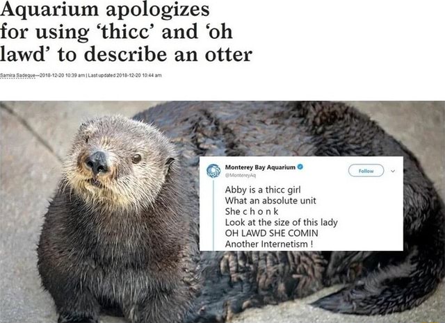 Aquarium apologizes for using 'thicc' and 'oh lawd' to describe an ...