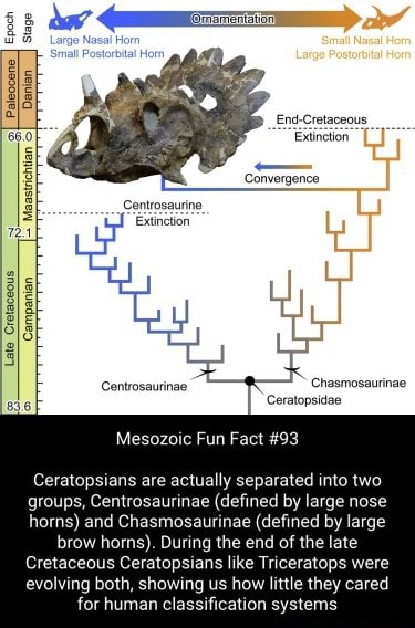 Ceratopsidee End-Cretaceous onvergence Centrosaurine 'Extinction ...
