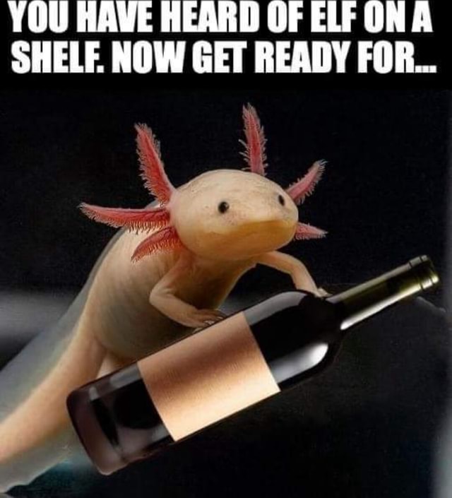 YOU HAVE HEARD OF ELF ON A SHELF. NOW GET READY FOR... AN - iFunny