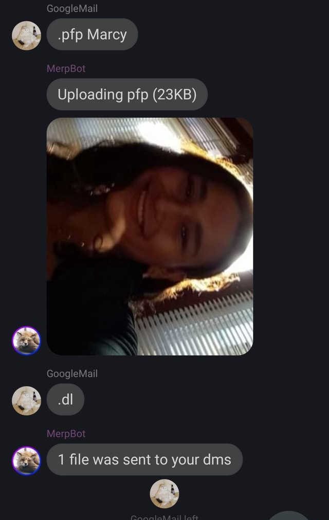 GoogleMail .pip Marcy MerpBot Uploading pfp (23KB) GoogleMail MerpBot ...