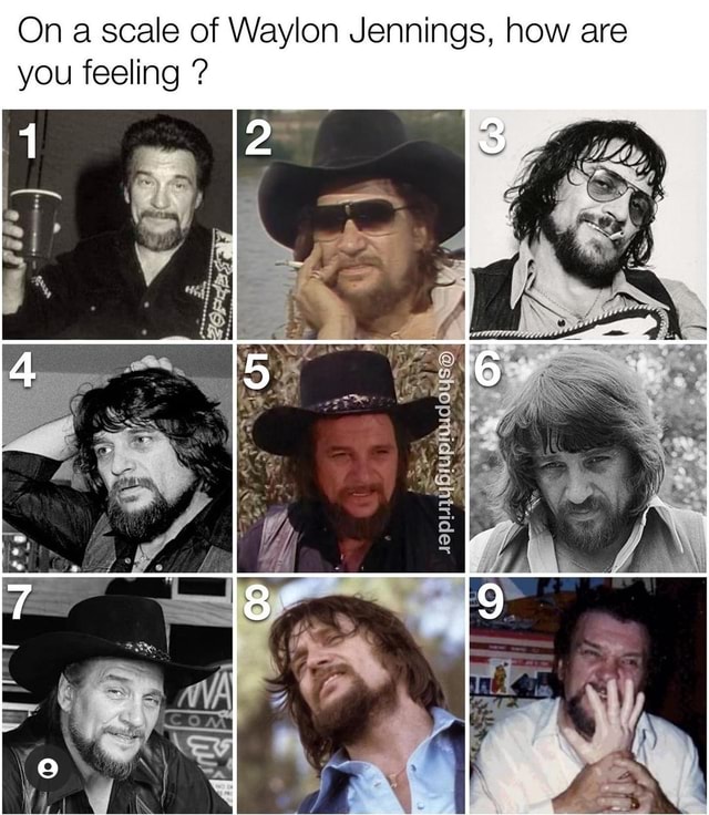 On a scale of Waylon Jennings, how are you feeling ? - iFunny On a scale of Waylon Jennings, how are you feeling ? - iFunny