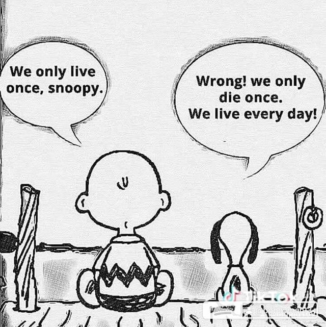 We only live once, snoopy. Wrong! we only die once. \ We live - iFunny