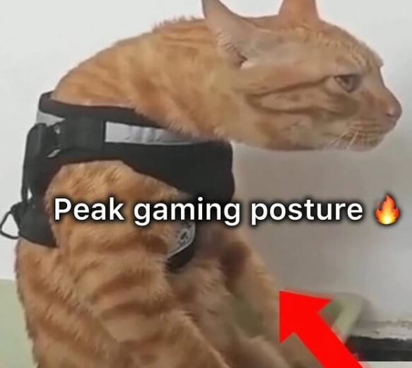 Peak gaming posture - peak gaming posture id Peak gaming posture - iFunny