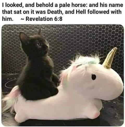 I looked, and behold a pale horse: and his name that sat on it was ...