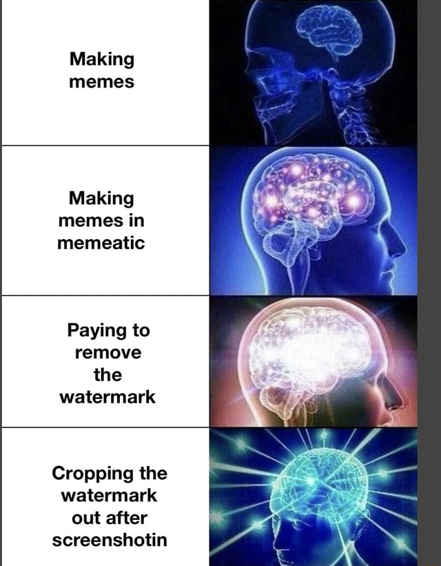 Making memes in memeatic Paying to remove the watermark Cropping the ...
