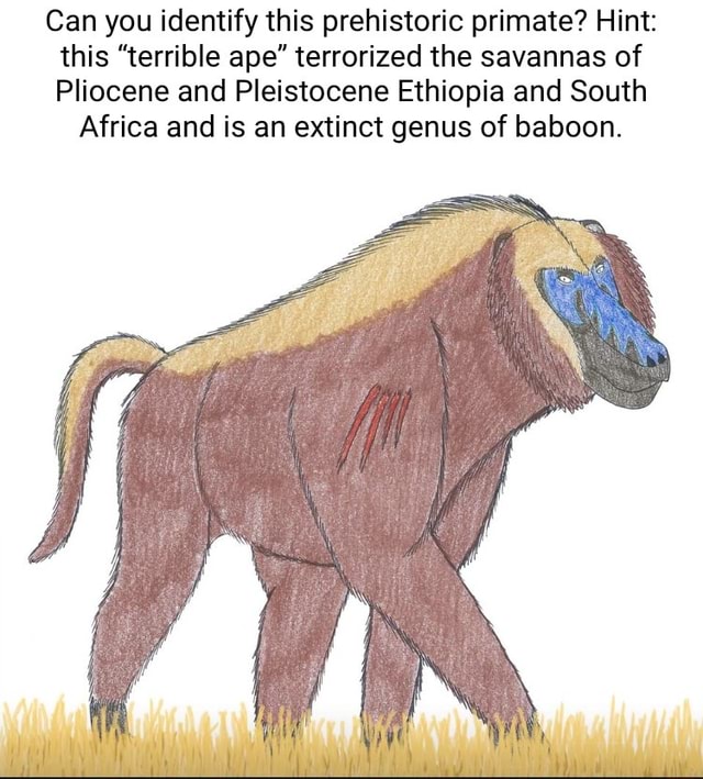 Can you identify this prehistoric primate? Hint: this "terrible ape ...