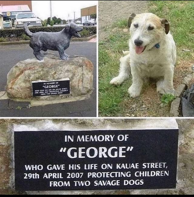 IN MEMORY OF "GEORGE" WHO GAVE HIS LIFE ON KAUAE STREET, 29th APRIL ...