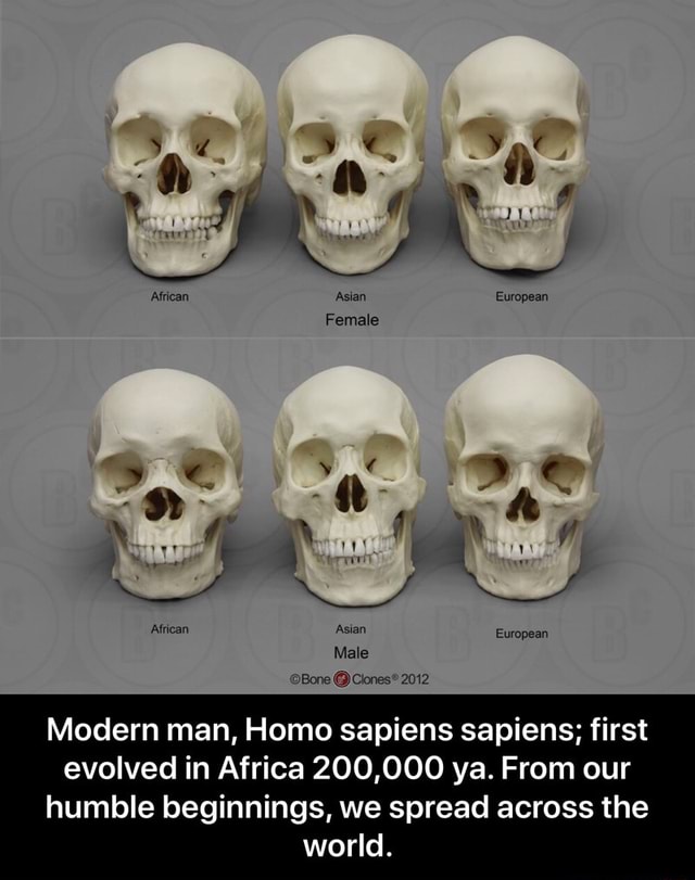 From our humble beginnings, we spread across the world. Modern man ...