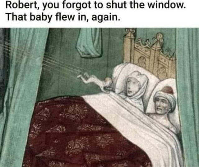 Robert, you forgot to shut the window. That baby flew in, again. - iFunny
