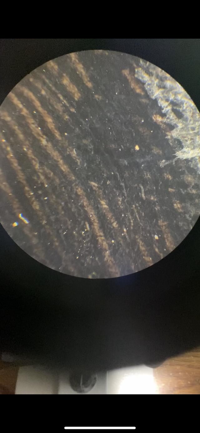 Here is a different look at X40. The microscope light below the stage ...