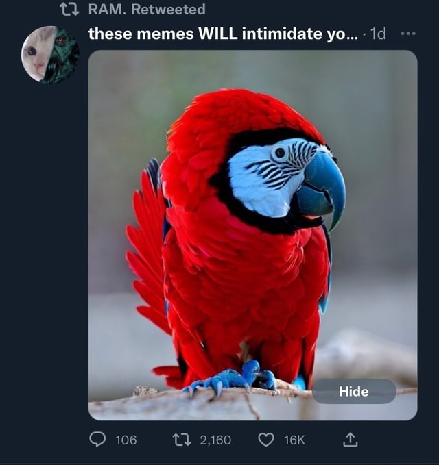 RAM. Retweeted these memes WILL intimidate yo...- id fa Hide 106 th 2. ...