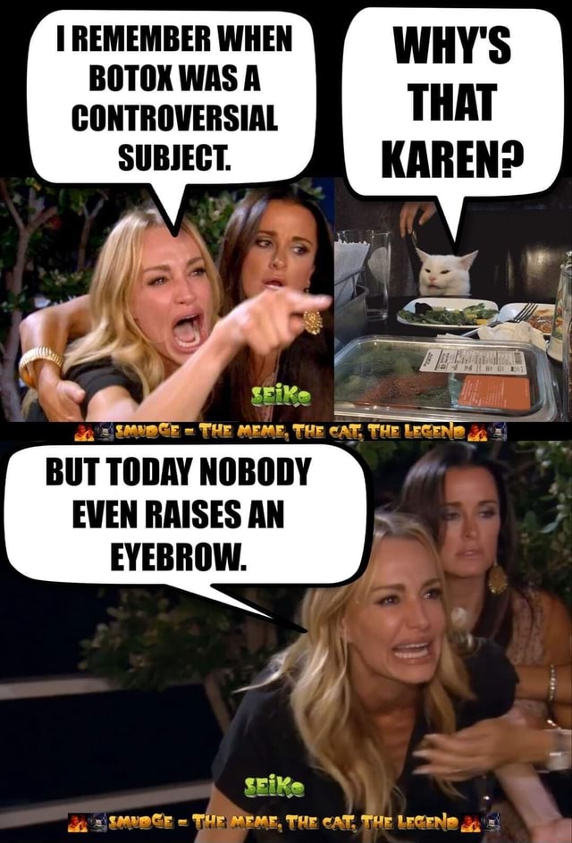 I REMEMBER WHEN WHY'S BOTOX WAS A CONTROVERSIAL THAT SUBJECT. KAREN ...