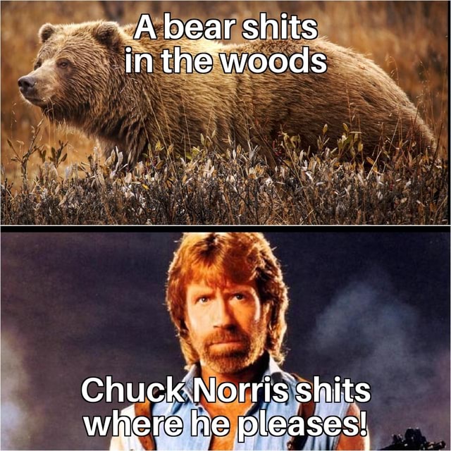 A bear shits in the woods Chuck. Norris shits while re he pleases ...